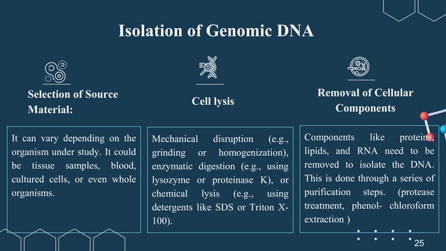 Genomic library construction using lambda. phagepptx | PPT