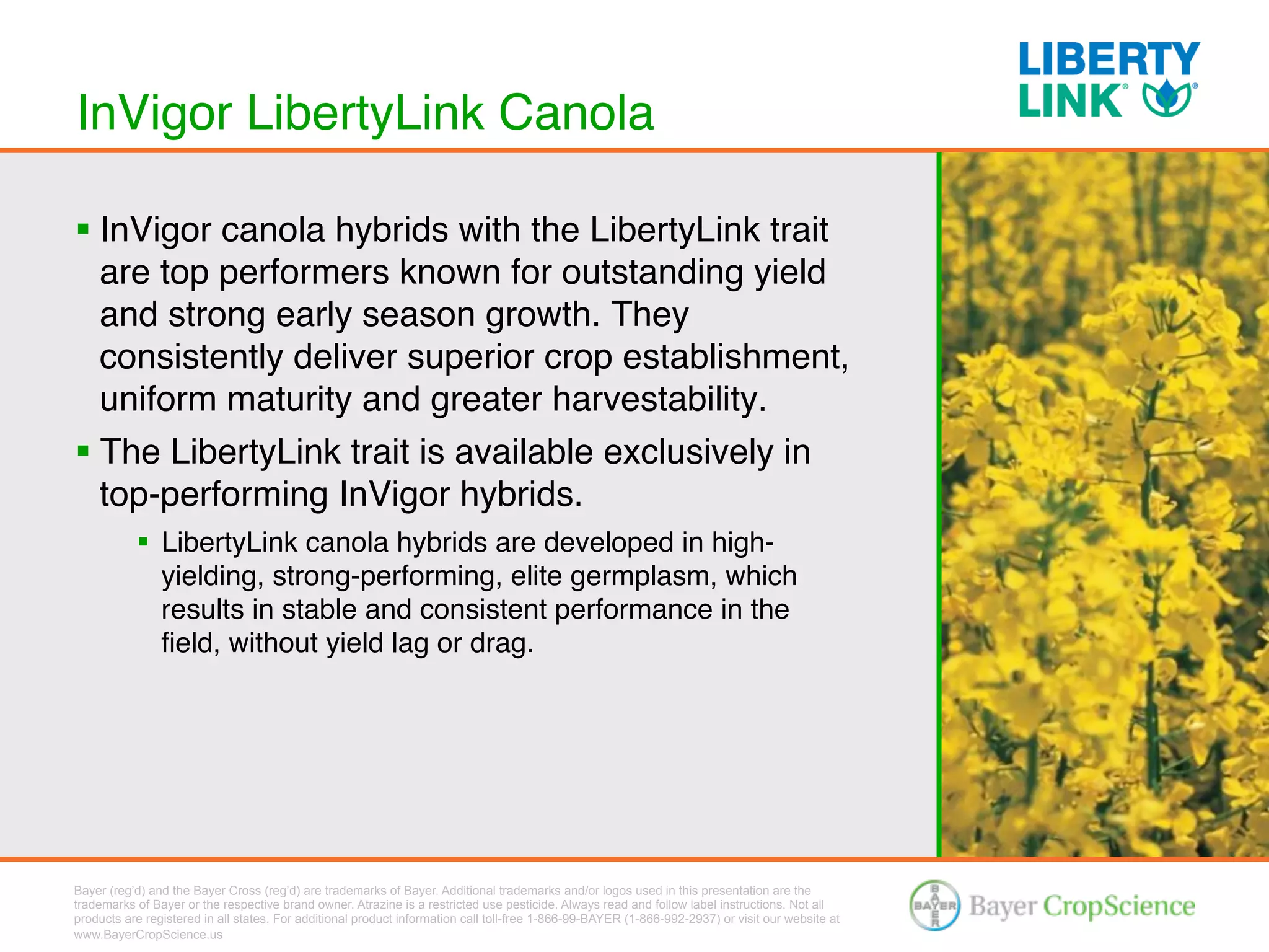 LibertyLink® Liberty® Canola | PPT