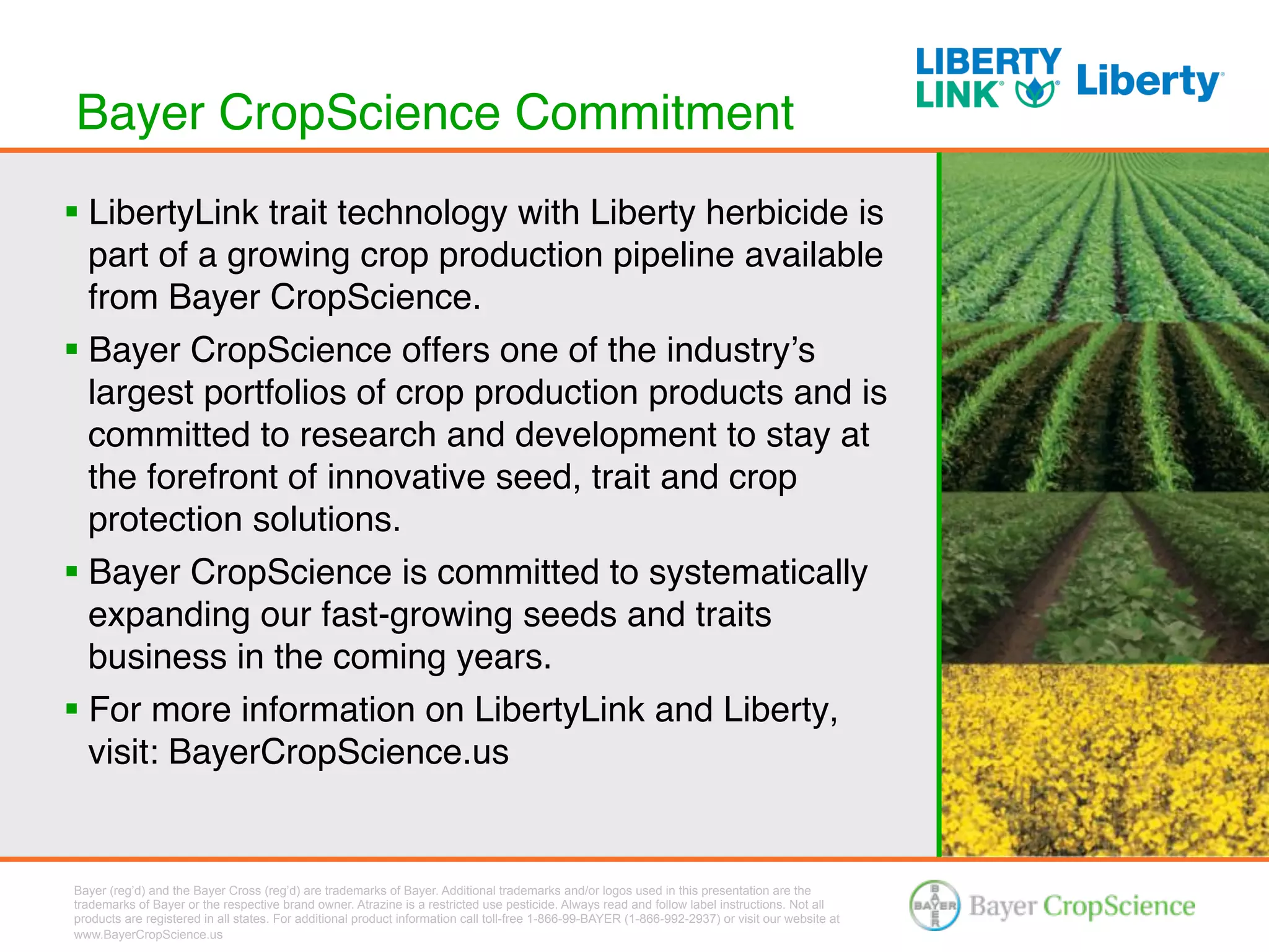 LibertyLink® Liberty® Canola | PPT