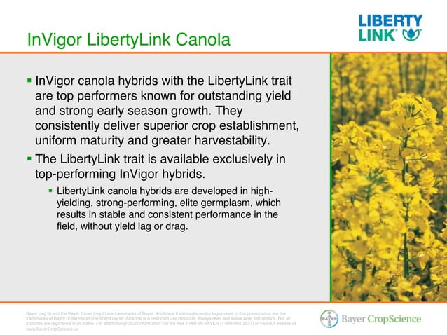 LibertyLink® Liberty® Canola | PPT