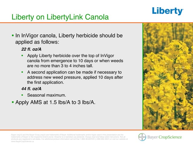LibertyLink® Liberty® Canola | PPT