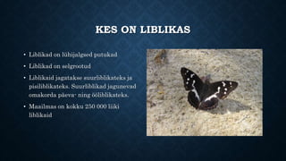 Liblikad.ppt