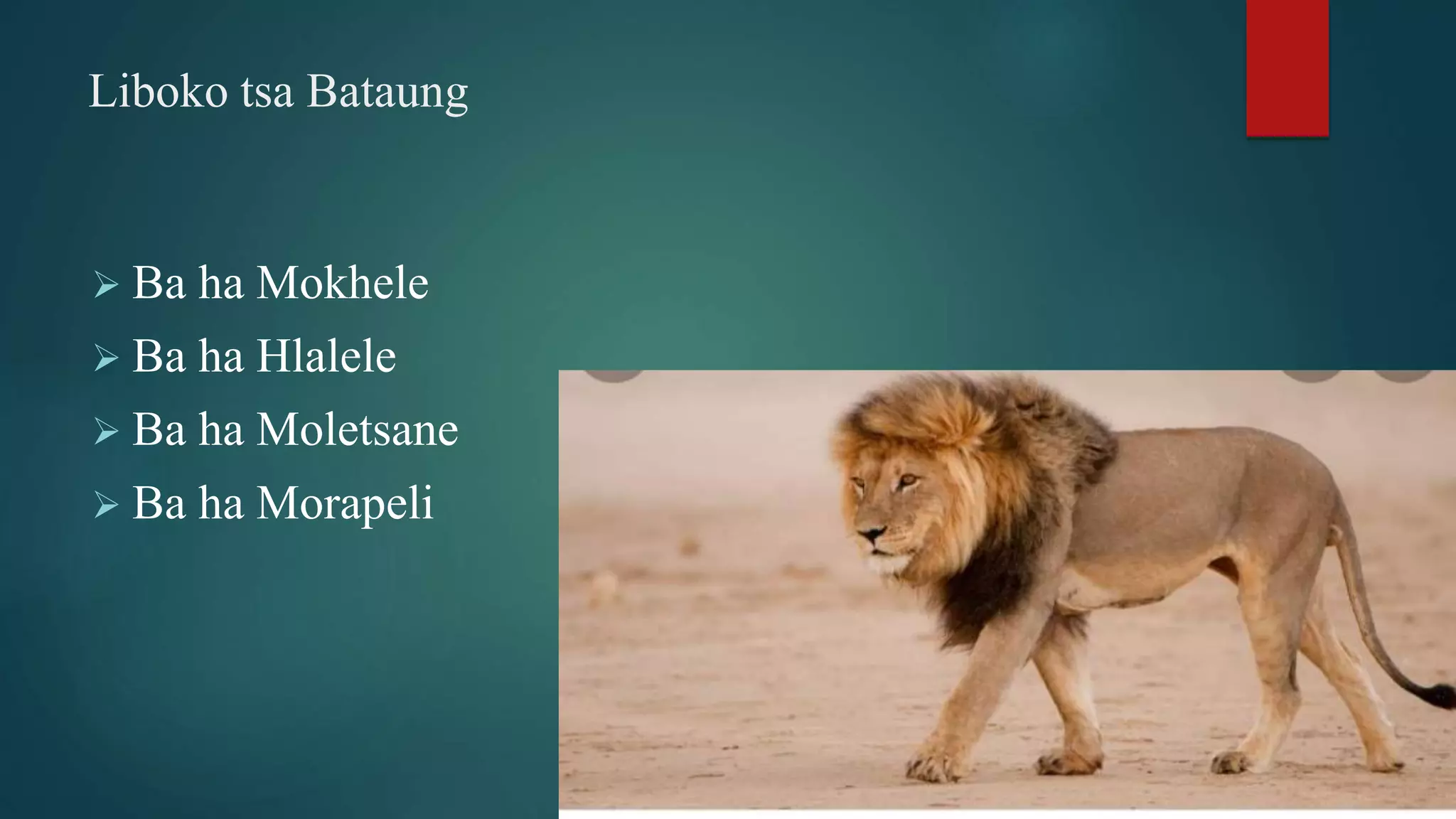 Liboko tsa Basotho.pptx