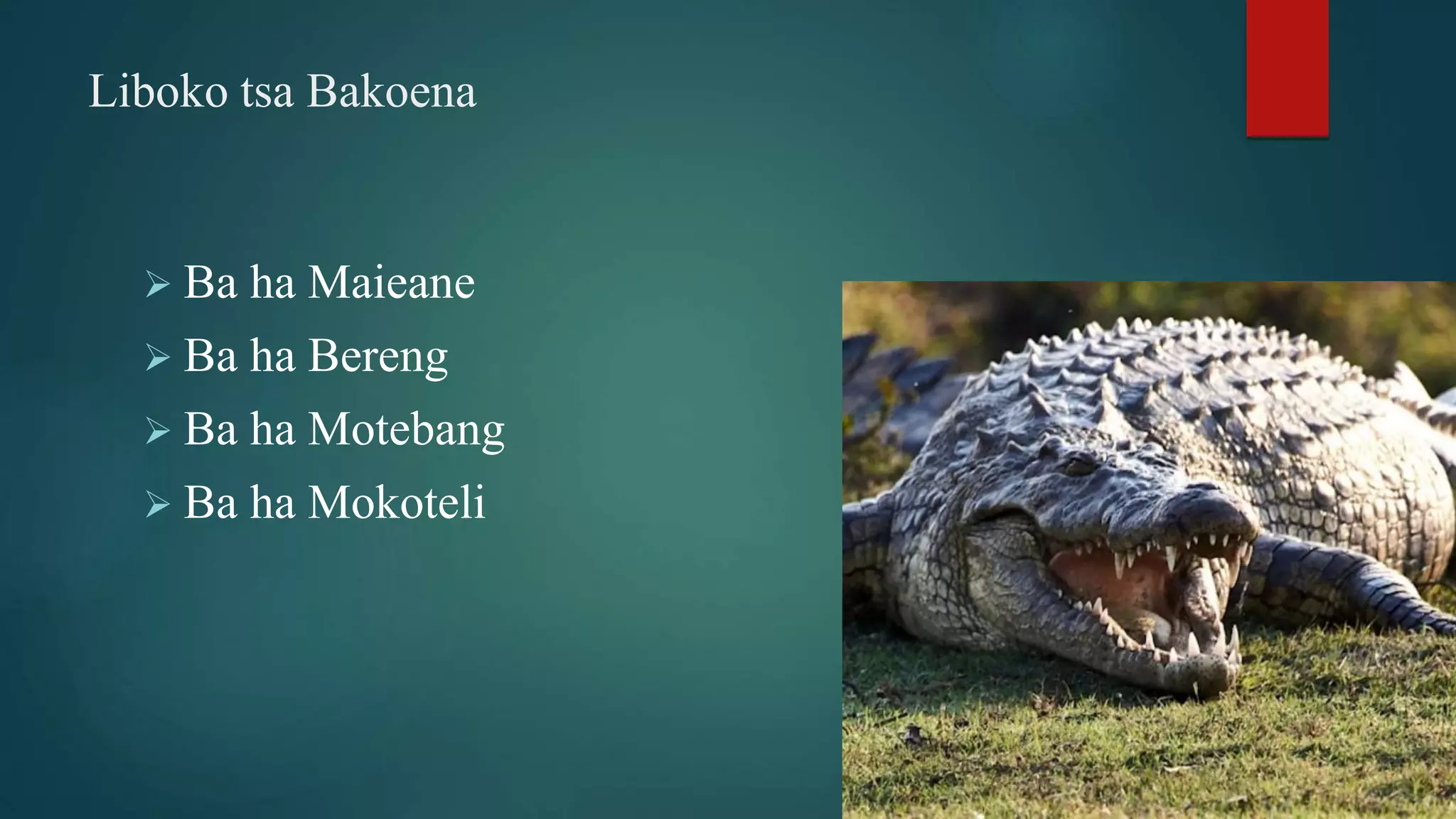 Liboko tsa Basotho.pptx