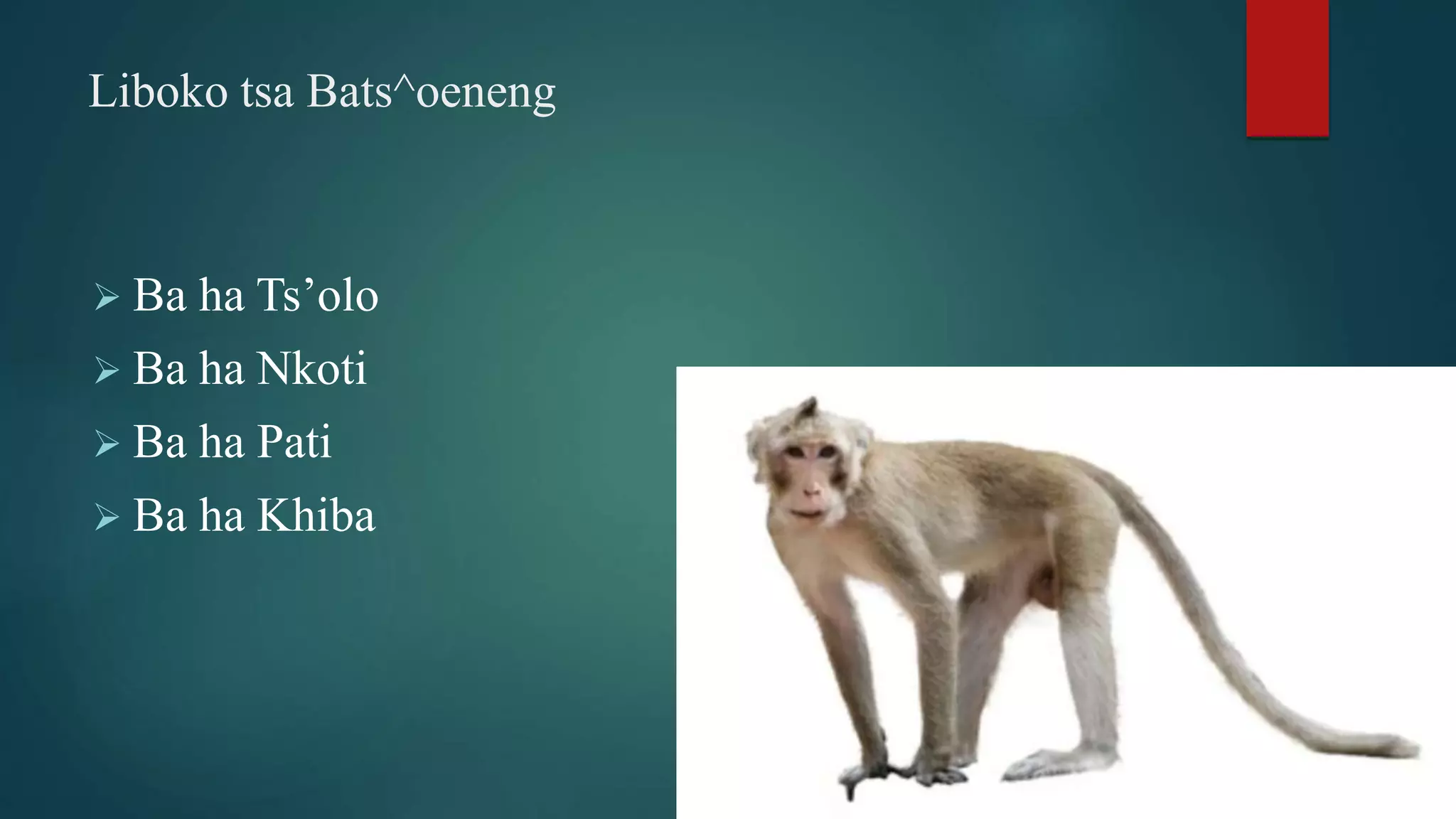 Liboko tsa Basotho.pptx