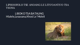 LIBOKO TSA BASOTHO.pptx