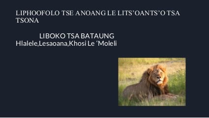 LIBOKO TSA BASOTHO.pptx