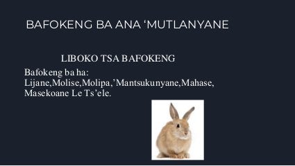 LIBOKO TSA BASOTHO.pptx