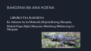 LIBOKO TSA BASOTHO.pptx