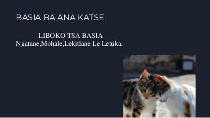 LIBOKO TSA BASOTHO.pptx