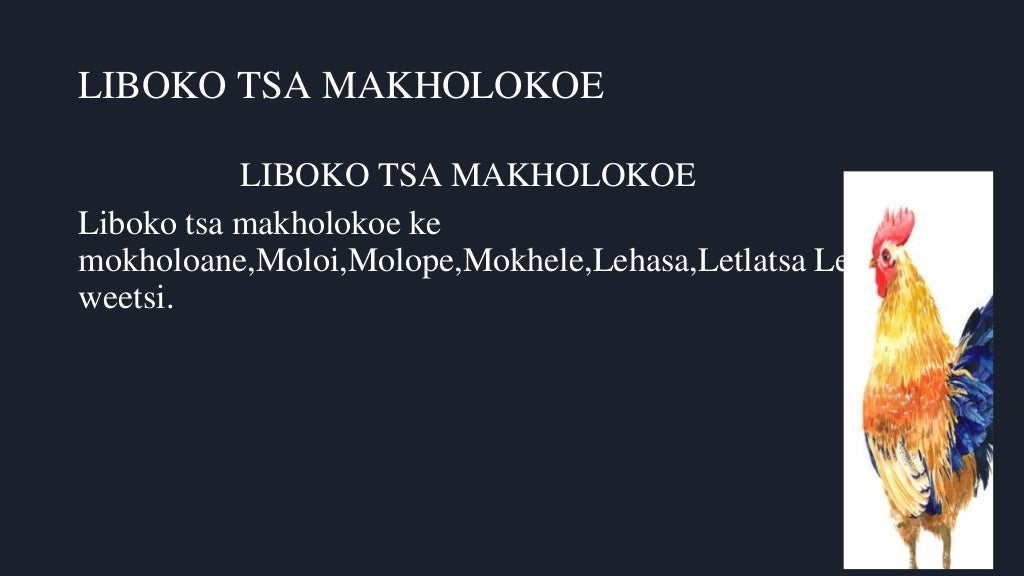 LIBOKO TSA BASOTHO.pptx
