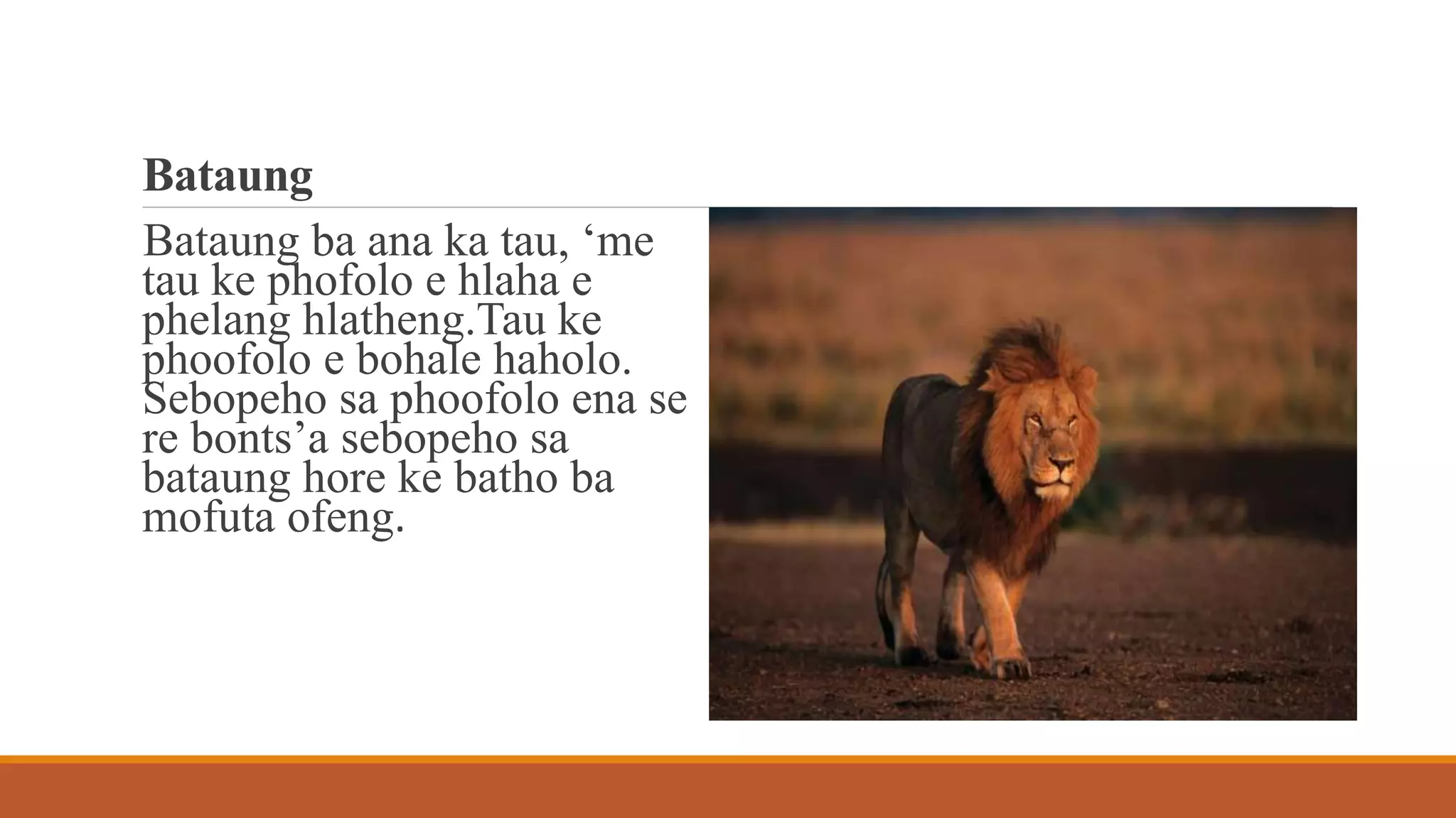 LIBOKO TSA BASOTHO.pptx