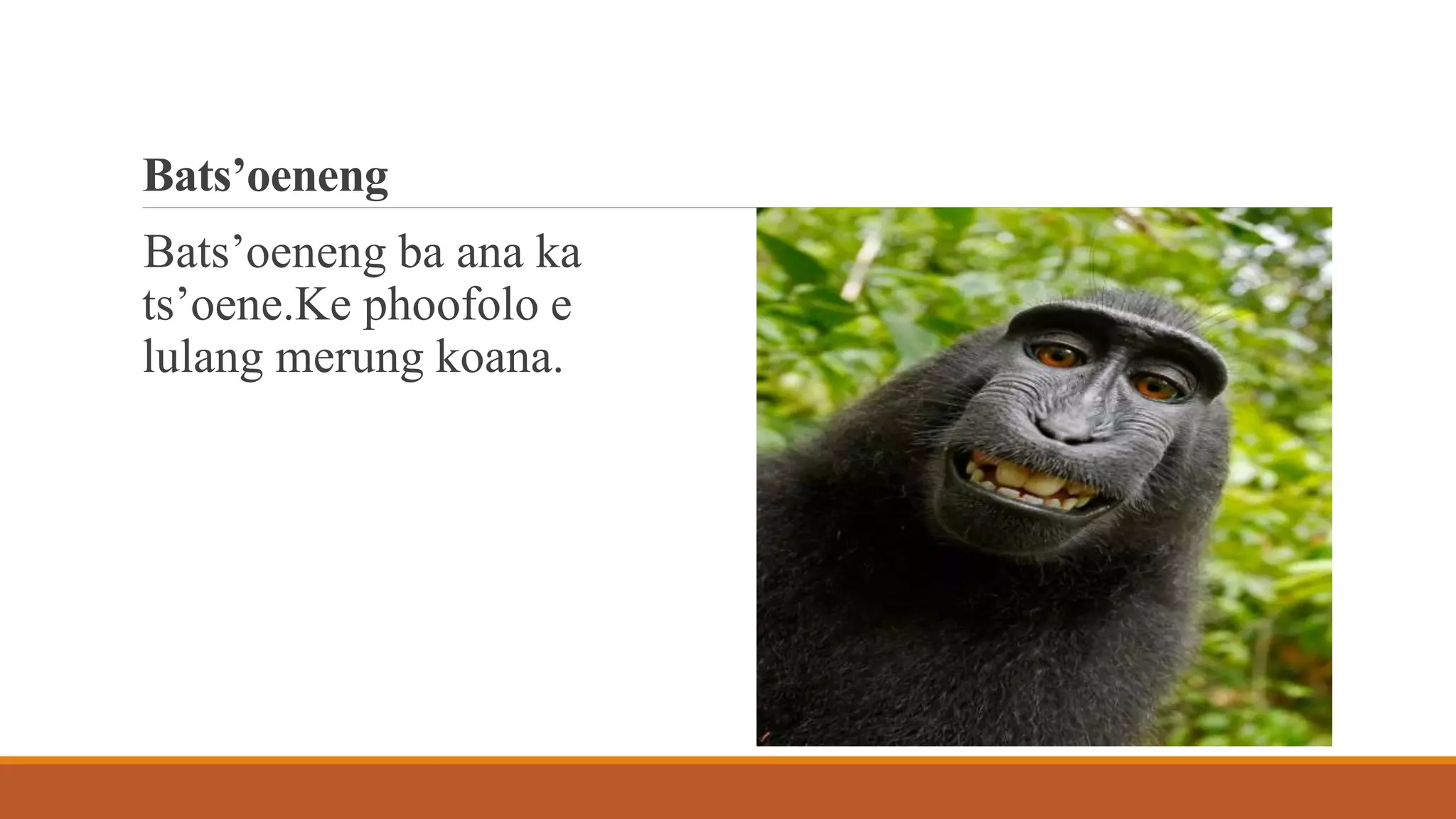 LIBOKO TSA BASOTHO.pptx