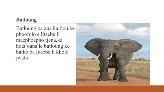 LIBOKO TSA BASOTHO.pptx