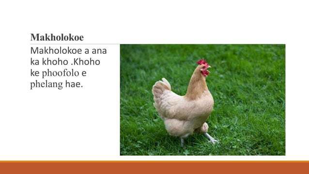 LIBOKO TSA BASOTHO.pptx