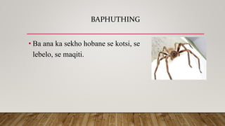 LIBOKO TSA BASOTHO.pptx