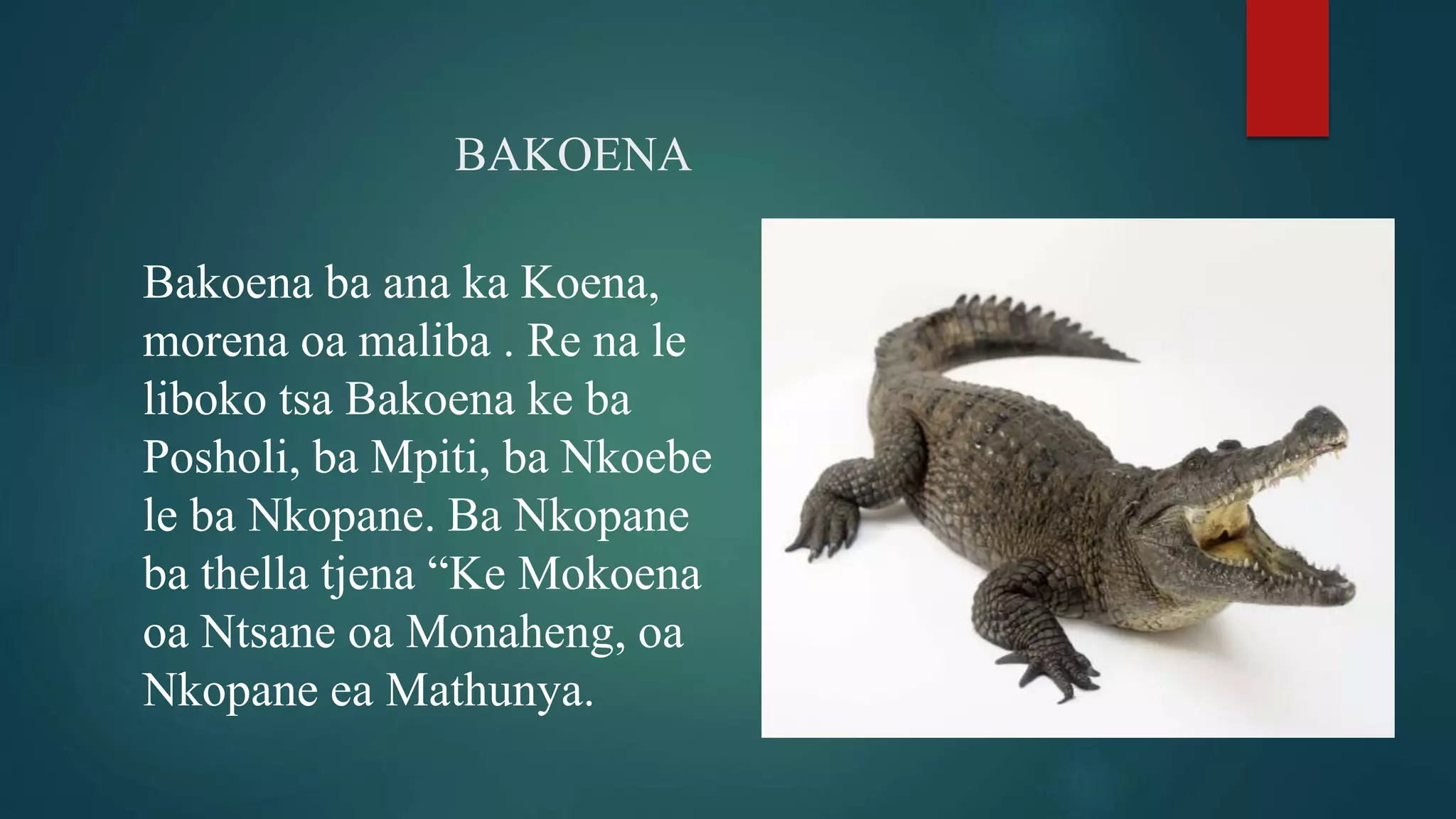 Liboko tsa Basotho.pptx