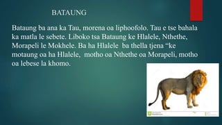 Liboko tsa Basotho.pptx