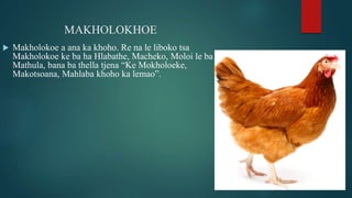 Liboko tsa Basotho.pptx