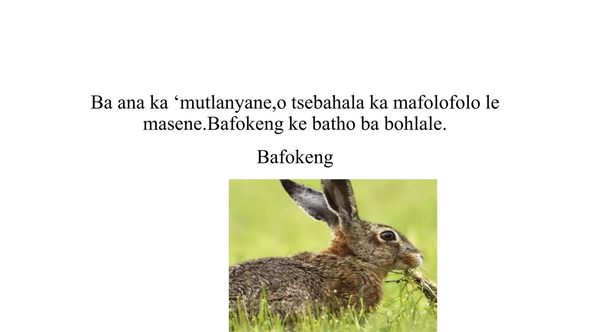 Liboko tsa Basotho.pptx