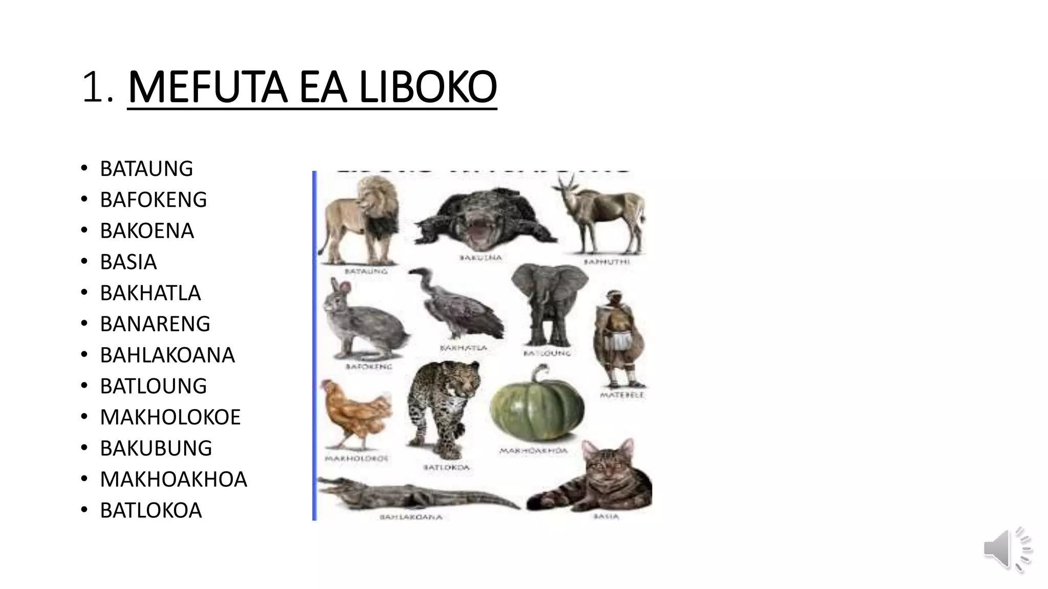 LIBOKO TSA BASOTHO.pptx