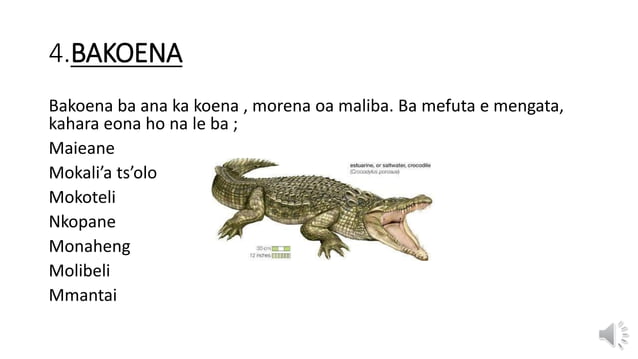 LIBOKO TSA BASOTHO.pptx