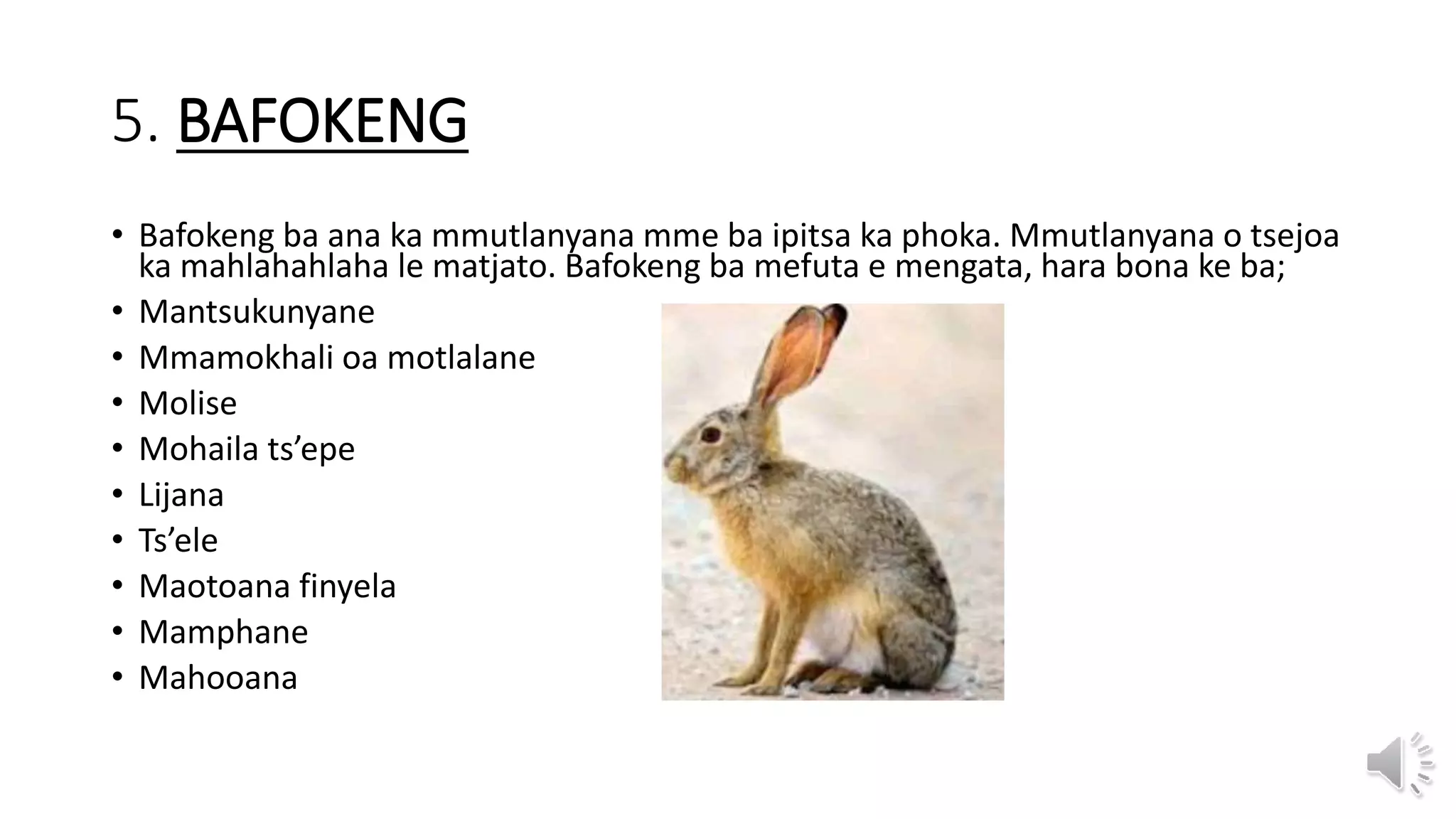 LIBOKO TSA BASOTHO.pptx