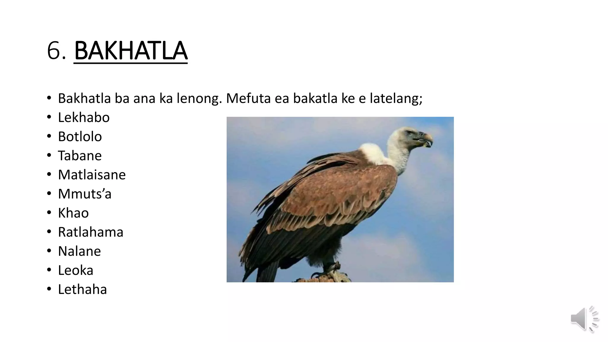 LIBOKO TSA BASOTHO.pptx