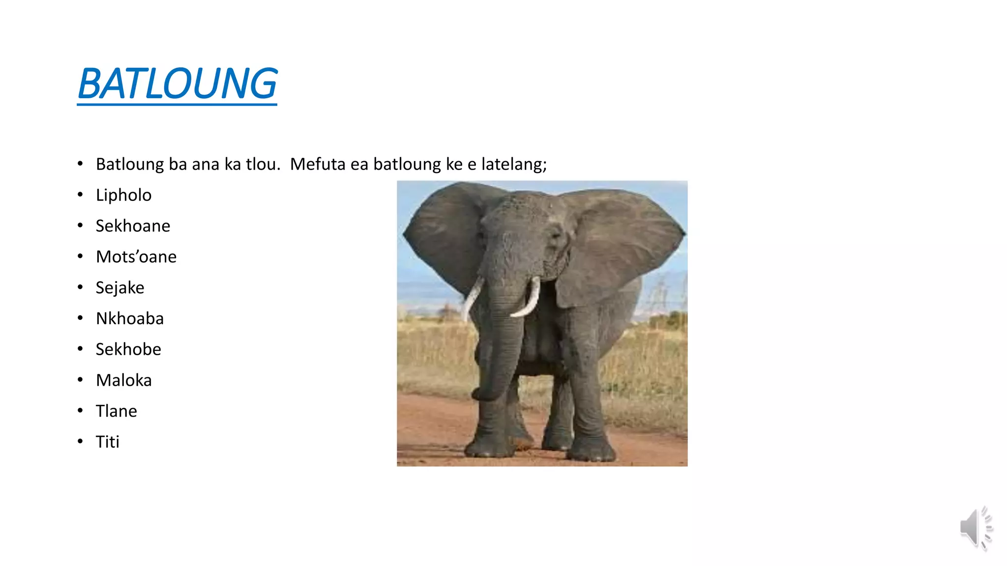 LIBOKO TSA BASOTHO.pptx