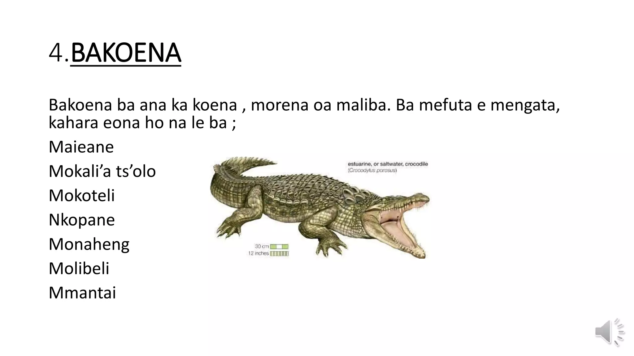 LIBOKO TSA BASOTHO.pptx