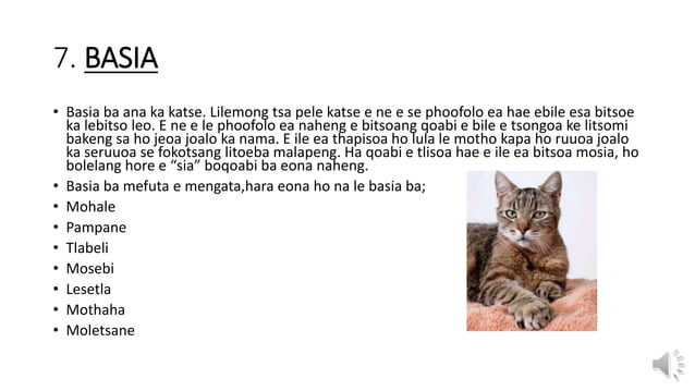 LIBOKO TSA BASOTHO.pptx