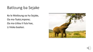 LIBOKO TSA BASOTHO | PPTX