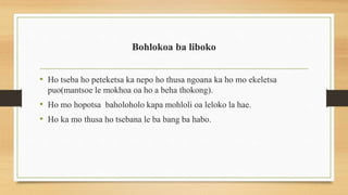 Liboko tsa basotho | PPTX