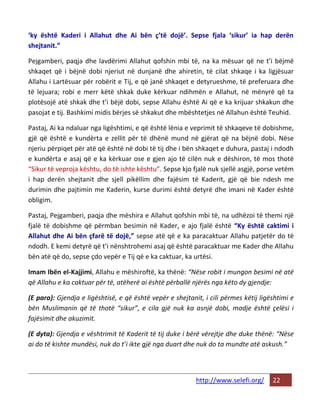FORMAT E SHIRKUT TË VOGËL | PDF