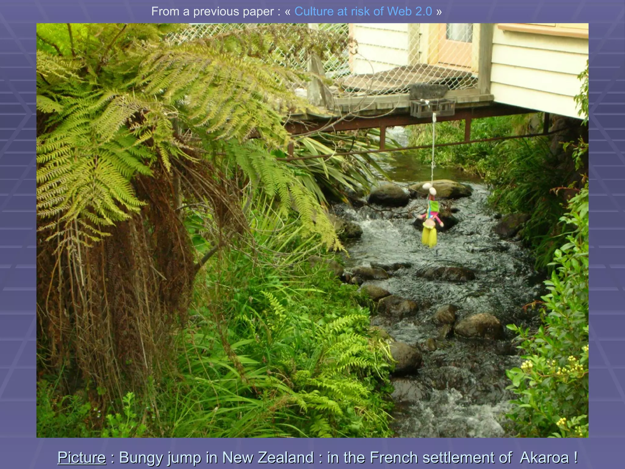 Libraries 2.0 : the French touch | PPT