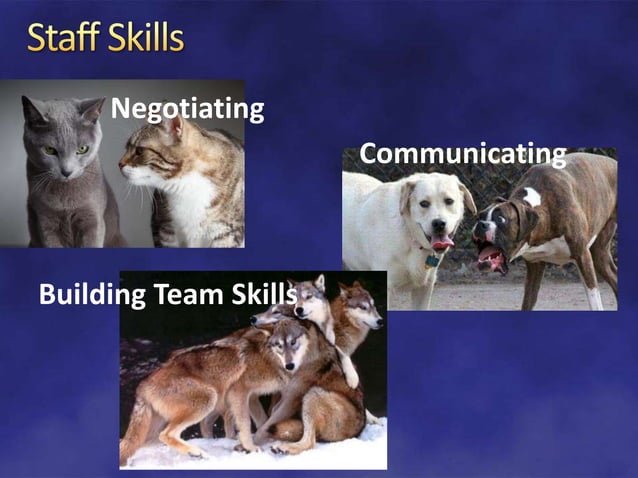 Library deep collaboration | PPTX