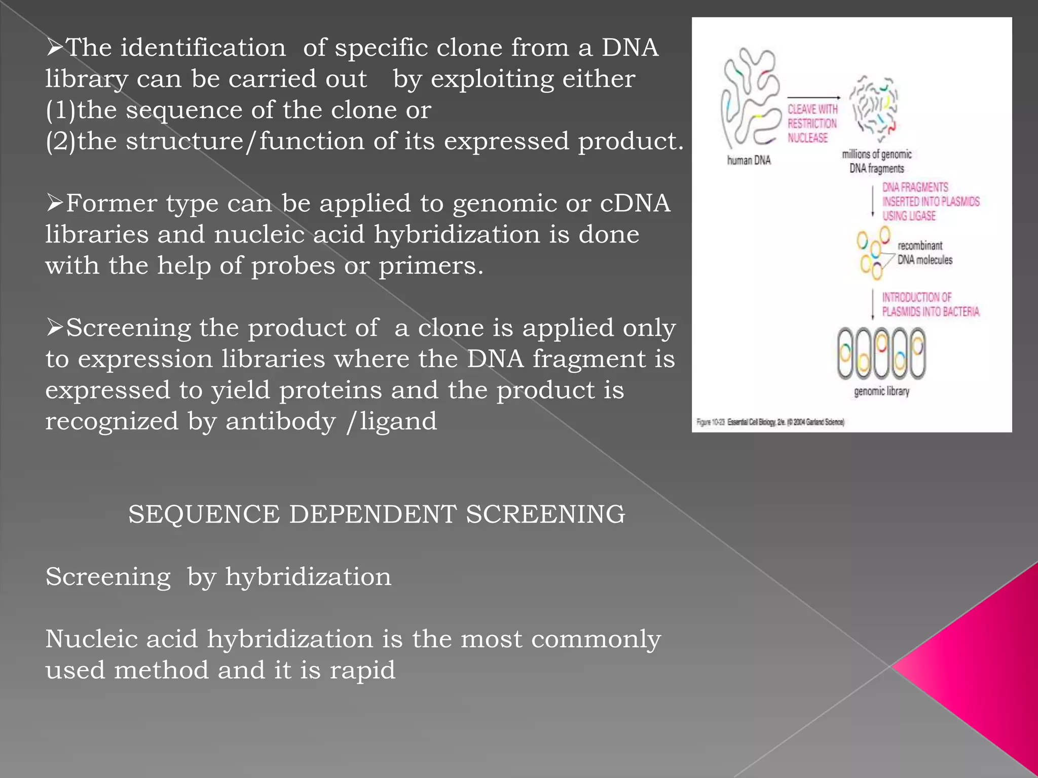 Library screening | PPTX