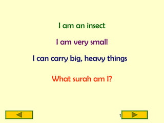 What Surah Am I? | PPS