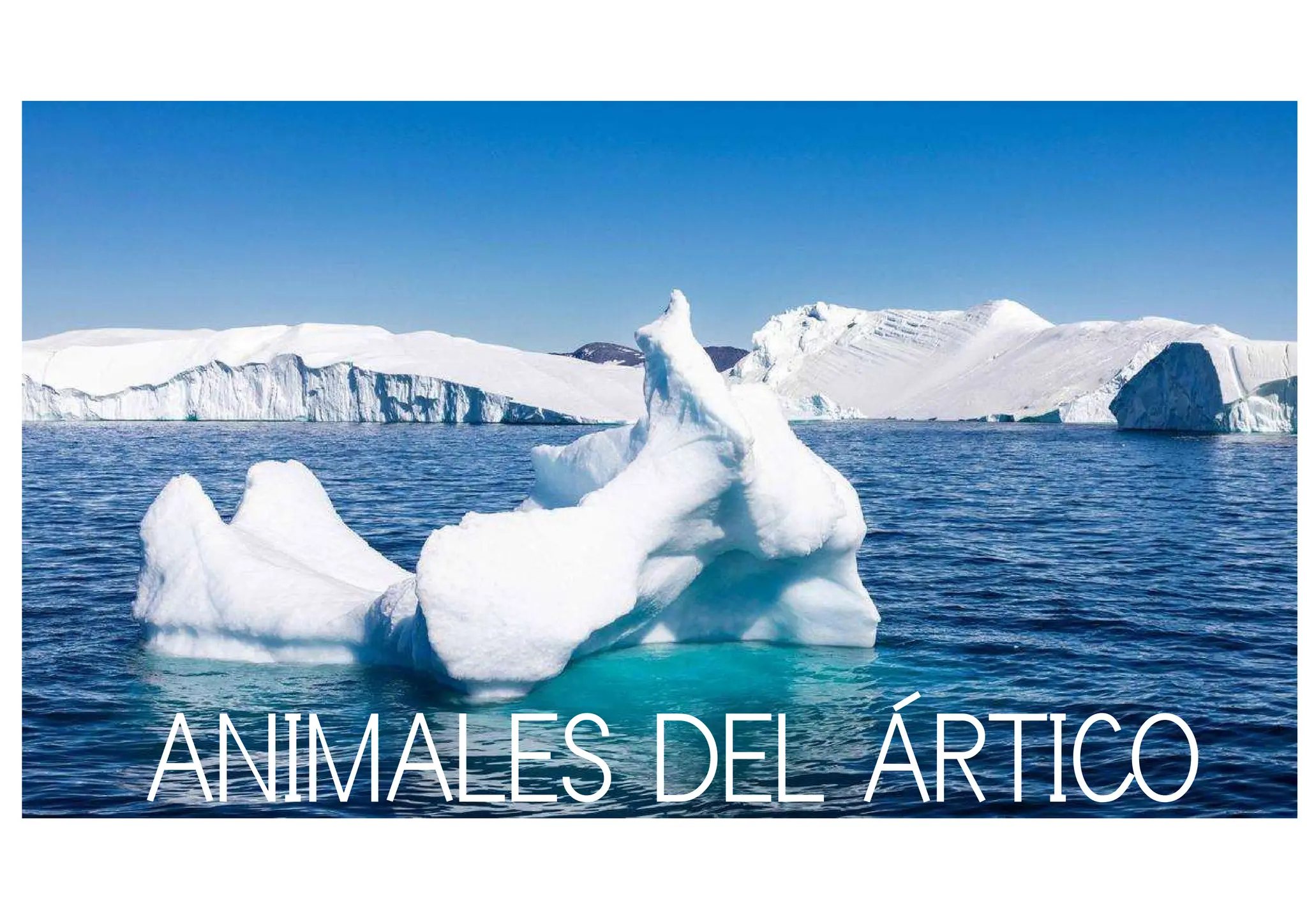 LIBRETO DE LOS ANIMALES DEL POLO NORTE O ÁRTICO. | PDF