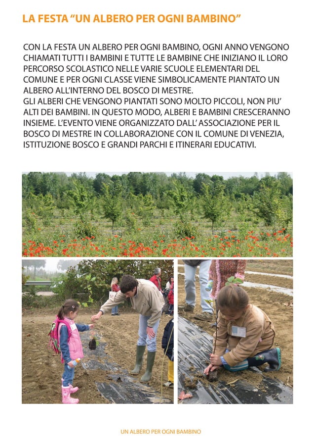 Un albero per ogni bambino 2016 | PDF