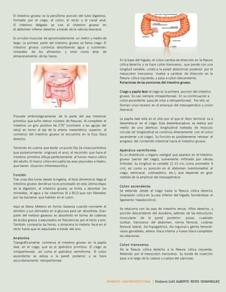Aparato gastrointestinal. (Fisiología) Luis alberto Reyes Dominguez. | DOCX