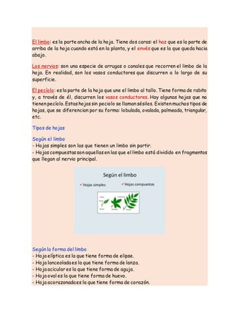Las plantas | DOCX
