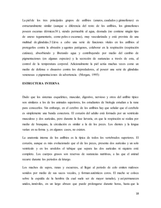 Libro anfibios-zoologia | DOCX