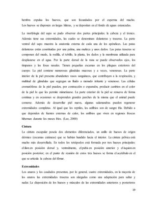 Libro anfibios-zoologia | DOCX