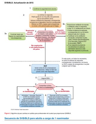 LIBRO-BLS.pdf