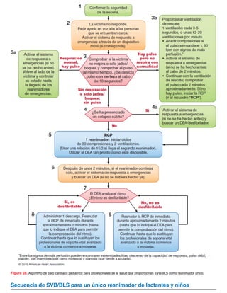 LIBRO-BLS.pdf
