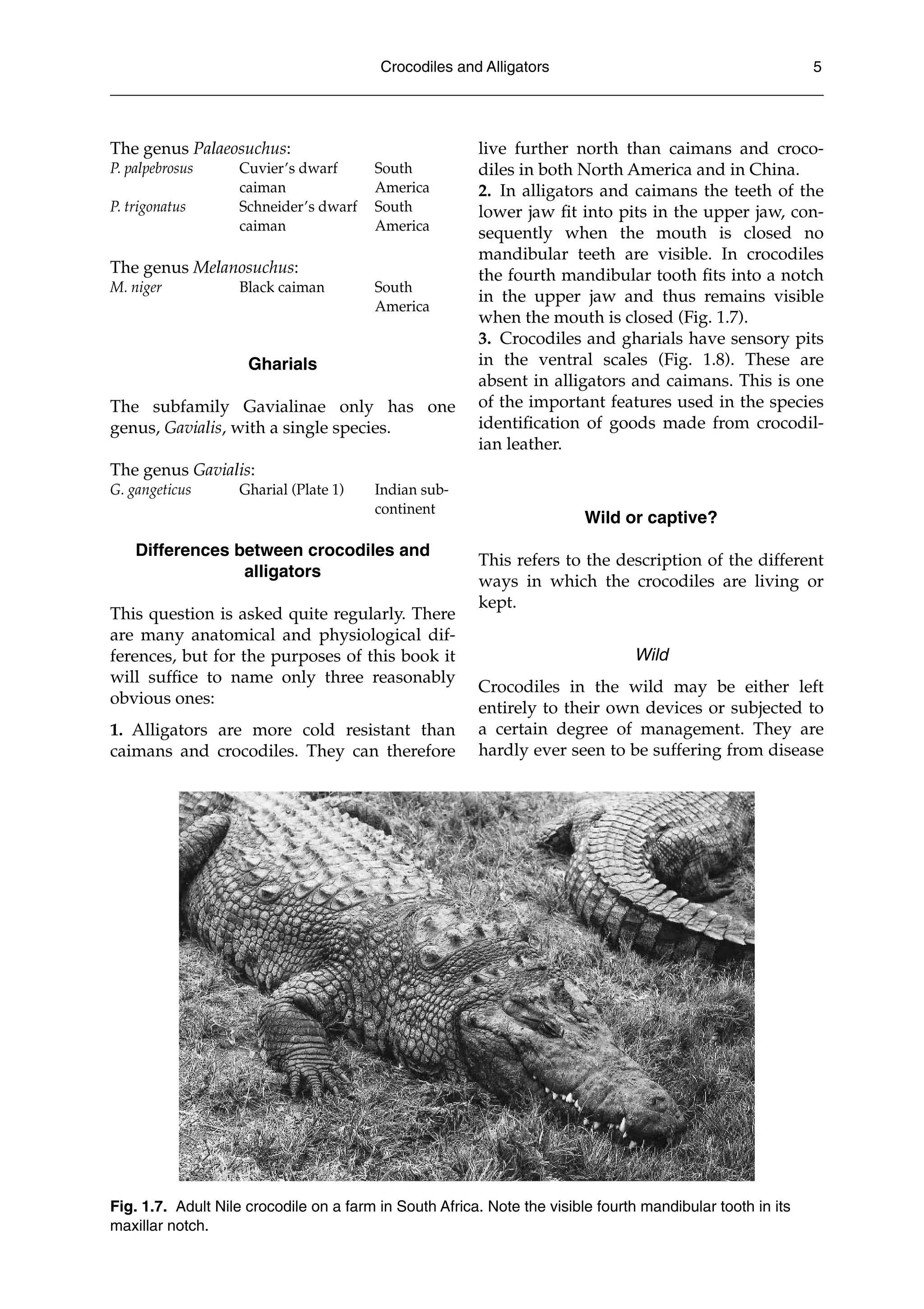 Libro crocodiles - biology, husbandry and diseases | PDF