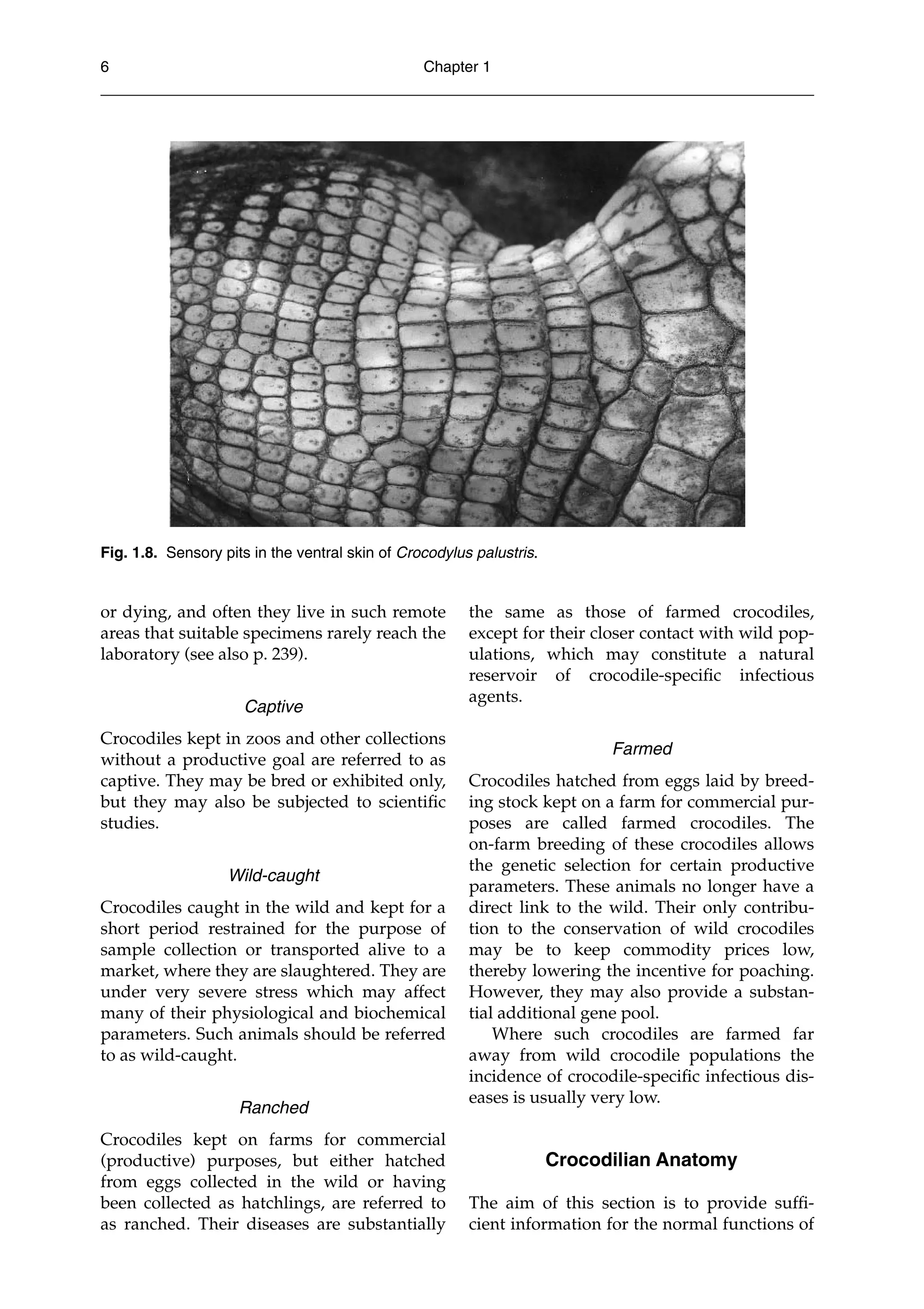 Libro crocodiles - biology, husbandry and diseases | PDF