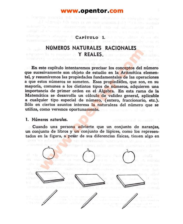 Libro algebra de mancil | PDF