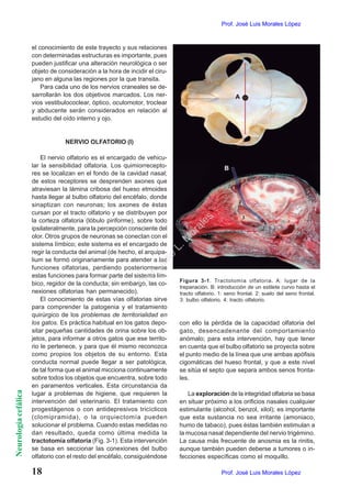 LIBRO_ANATOMIA_CLINICA.pdf